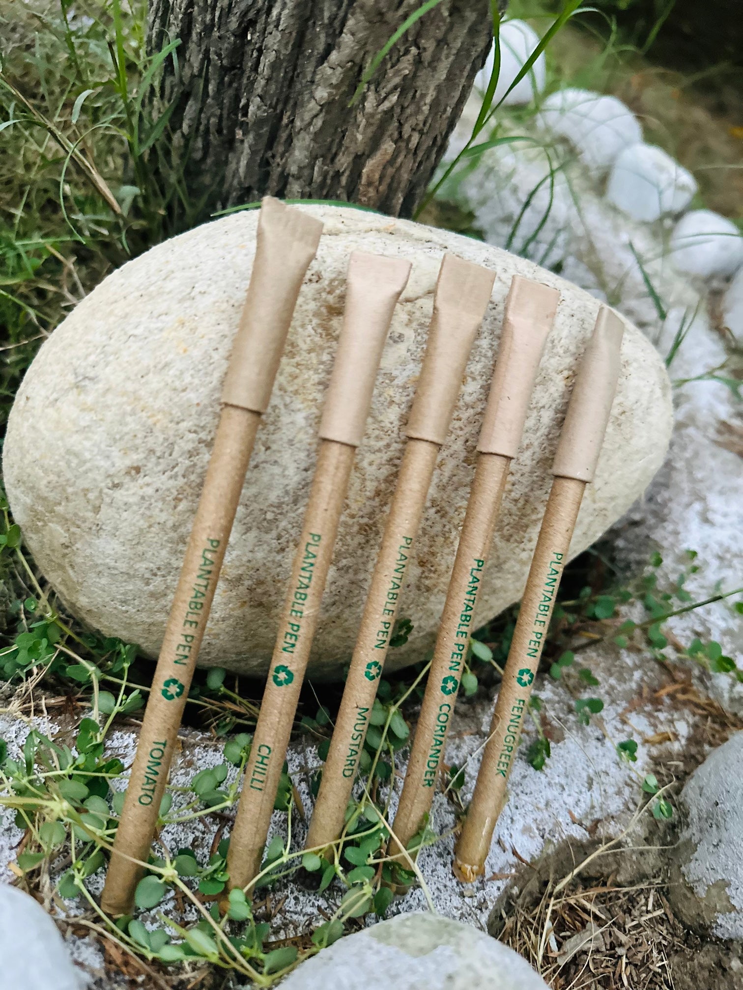 Home Page | earthex.in